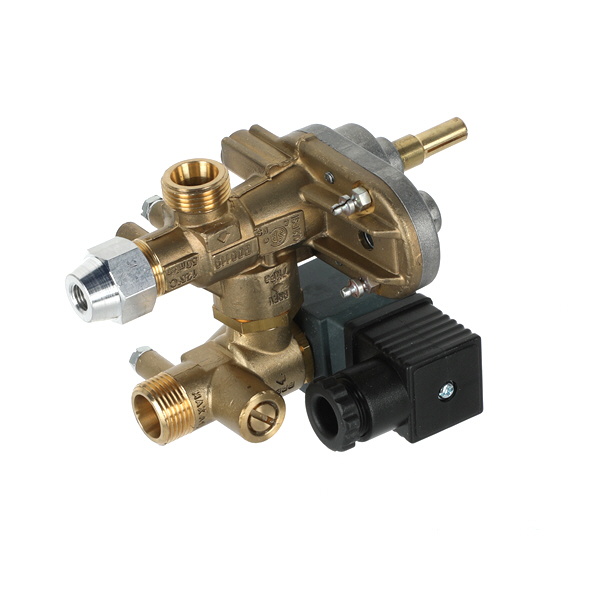 Blue Seal Gas Control Kit - 228706 | Parts Town UK